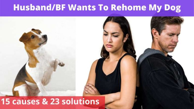 My Husband Wants To Rehome My Dog [15 Causes & 23 Solutions]