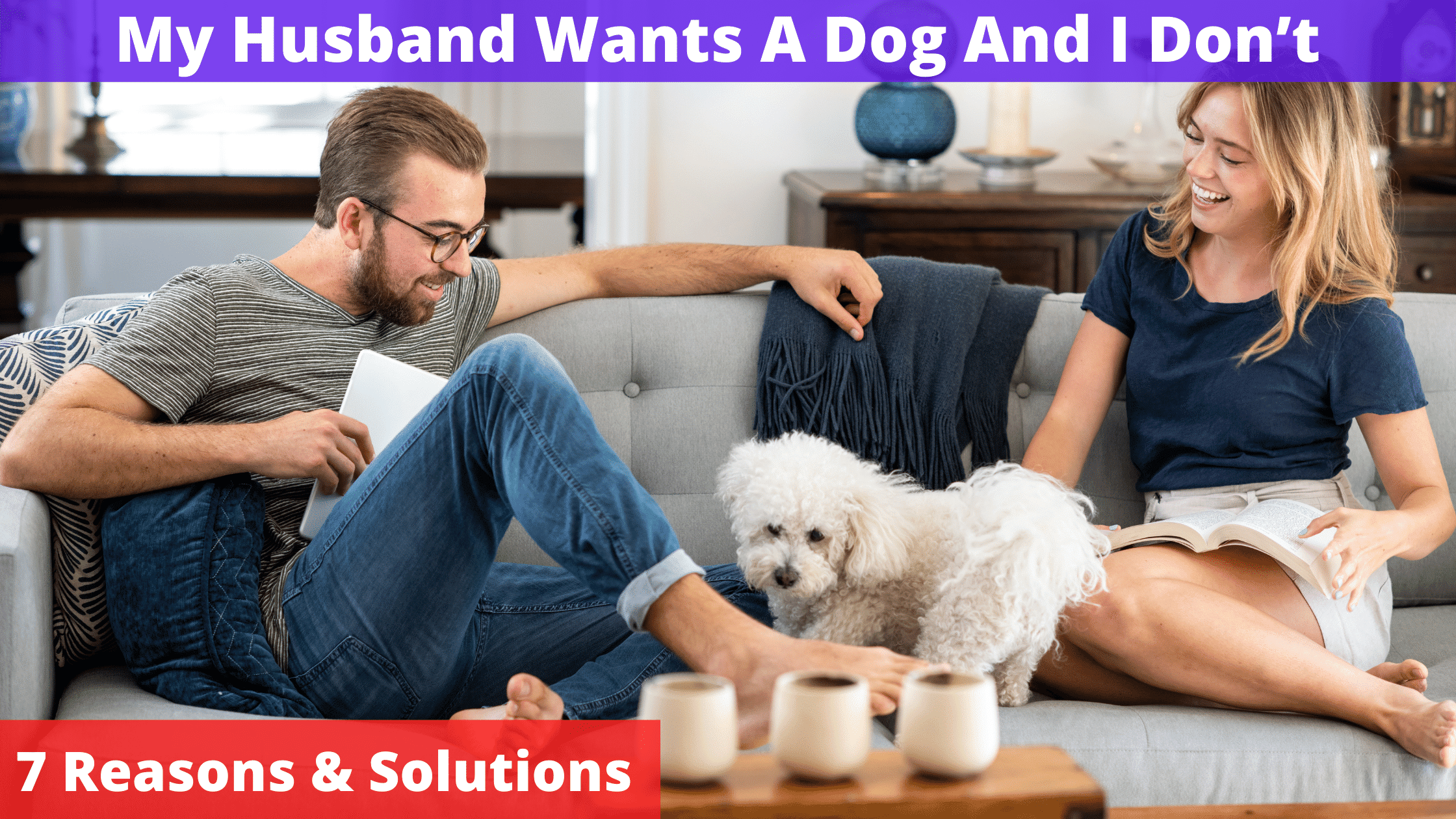 My Husband Wants A Dog And I Don't [7 Reasons & Solutions]