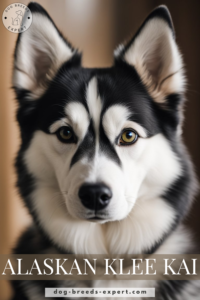 Miniature Dog Breeds - List of 76 Small Dogs That You'll Love