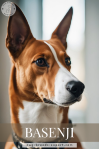 Miniature Dog Breeds - List of 76 Small Dogs That You'll Love