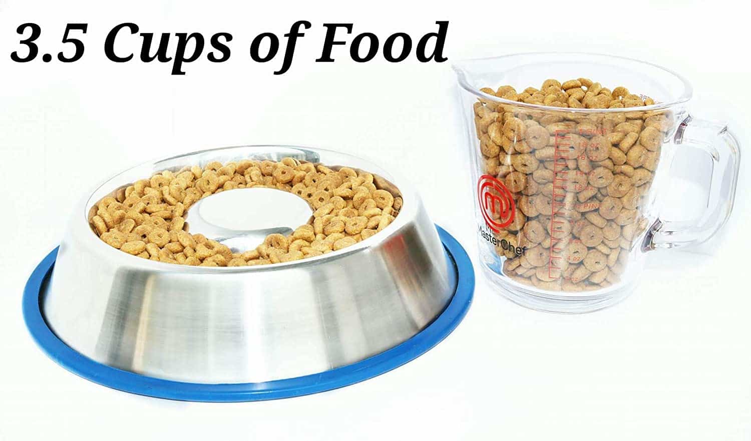 The German Shorthaired Pointer - Friendly and Smart