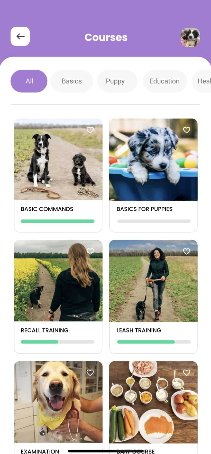 The Best Dog Training App, From Hundeo