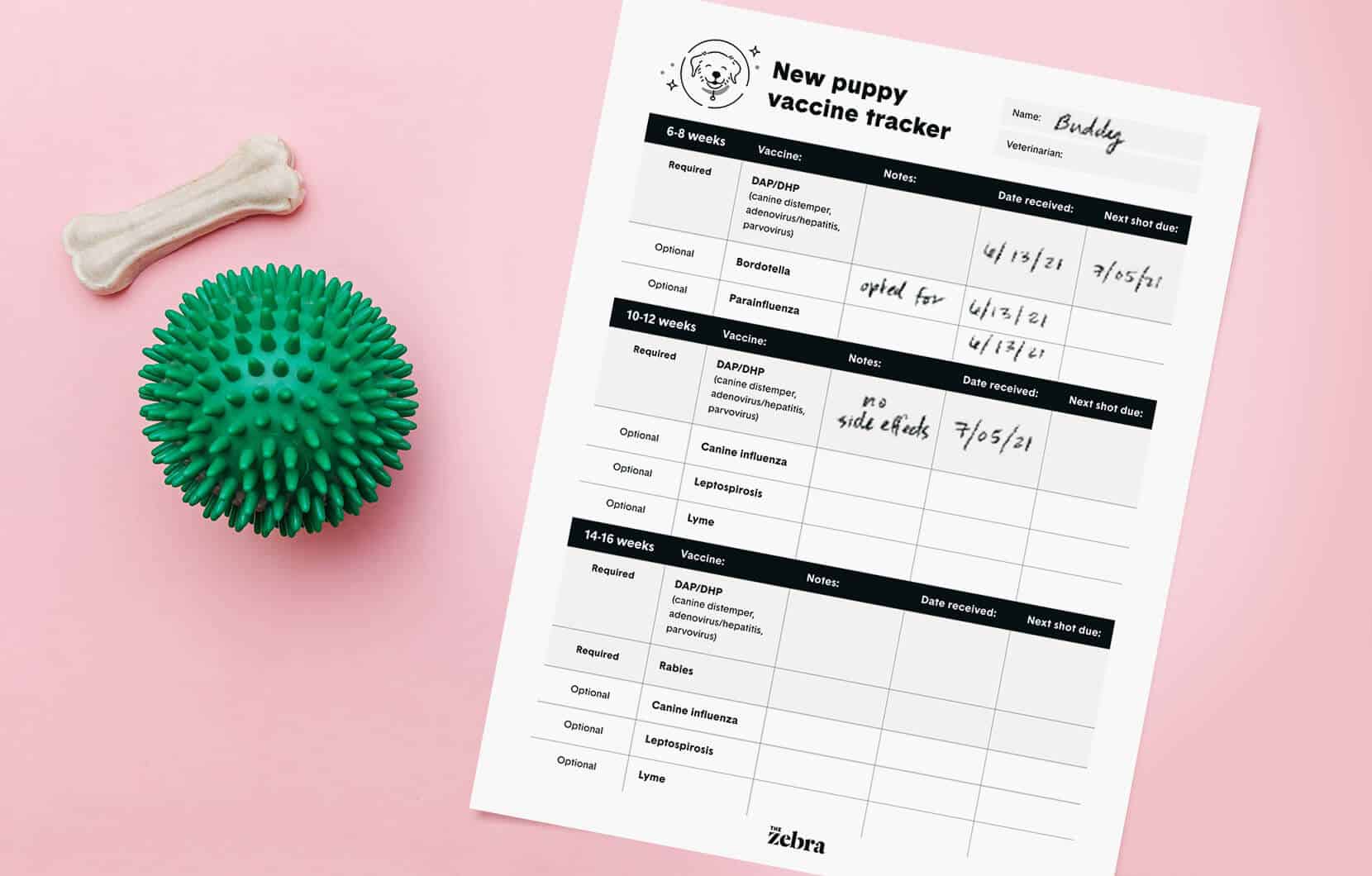 Dog Vaccination Schedule Chart to Help You Stay on Track!