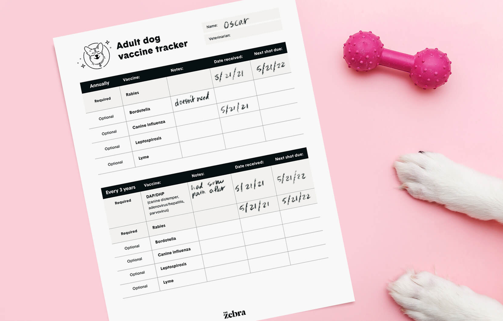 Dog Vaccination Schedule Chart to Help You Stay on Track!