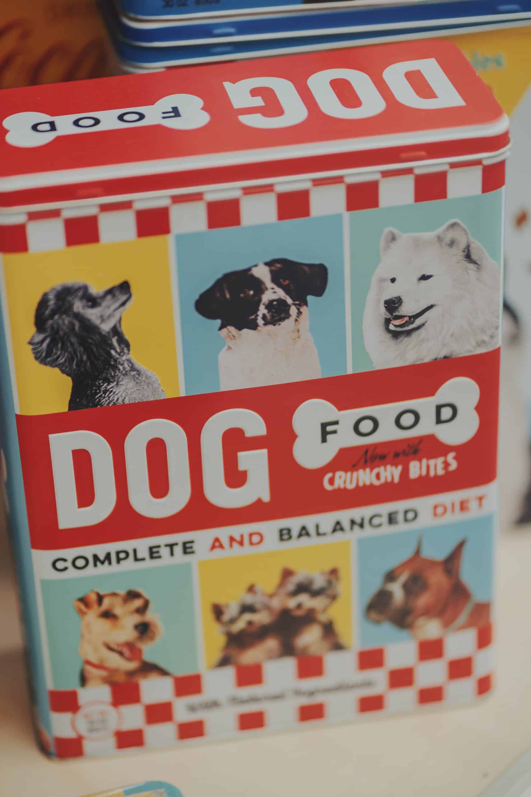 The 5 Best Foods for Dogs at the Right Price!