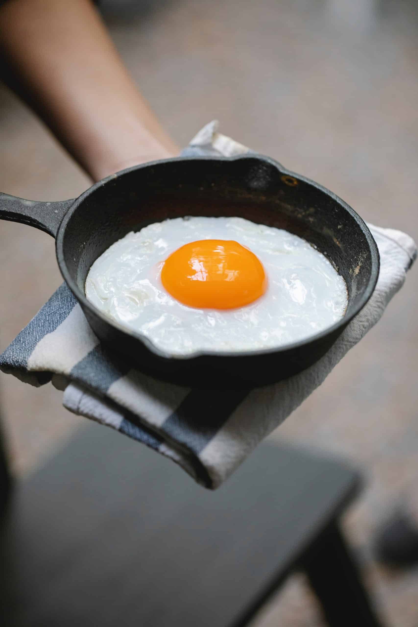 Can Dogs Eat Fried Eggs? Read Before Feeding It to Your Pup