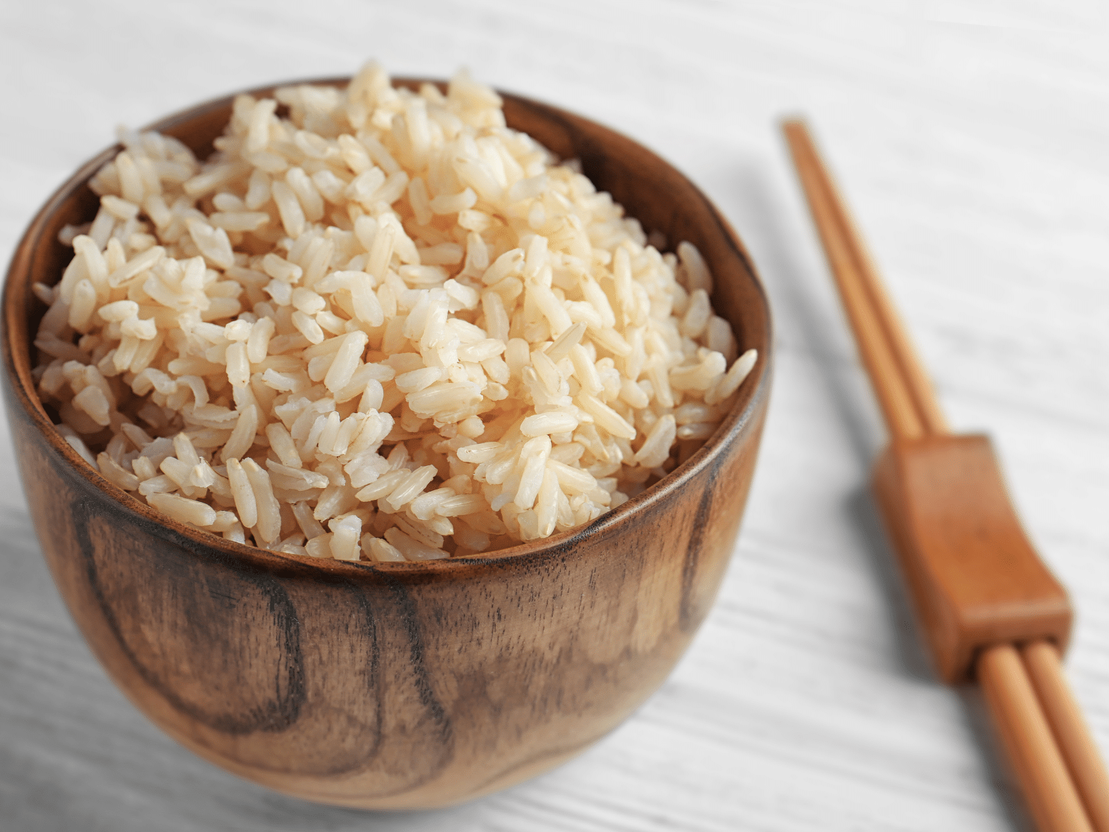 Can Dogs Eat Brown Rice? A Complete Guide