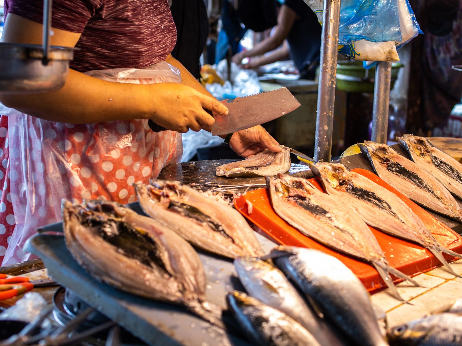 Can Dogs Eat Milkfish?