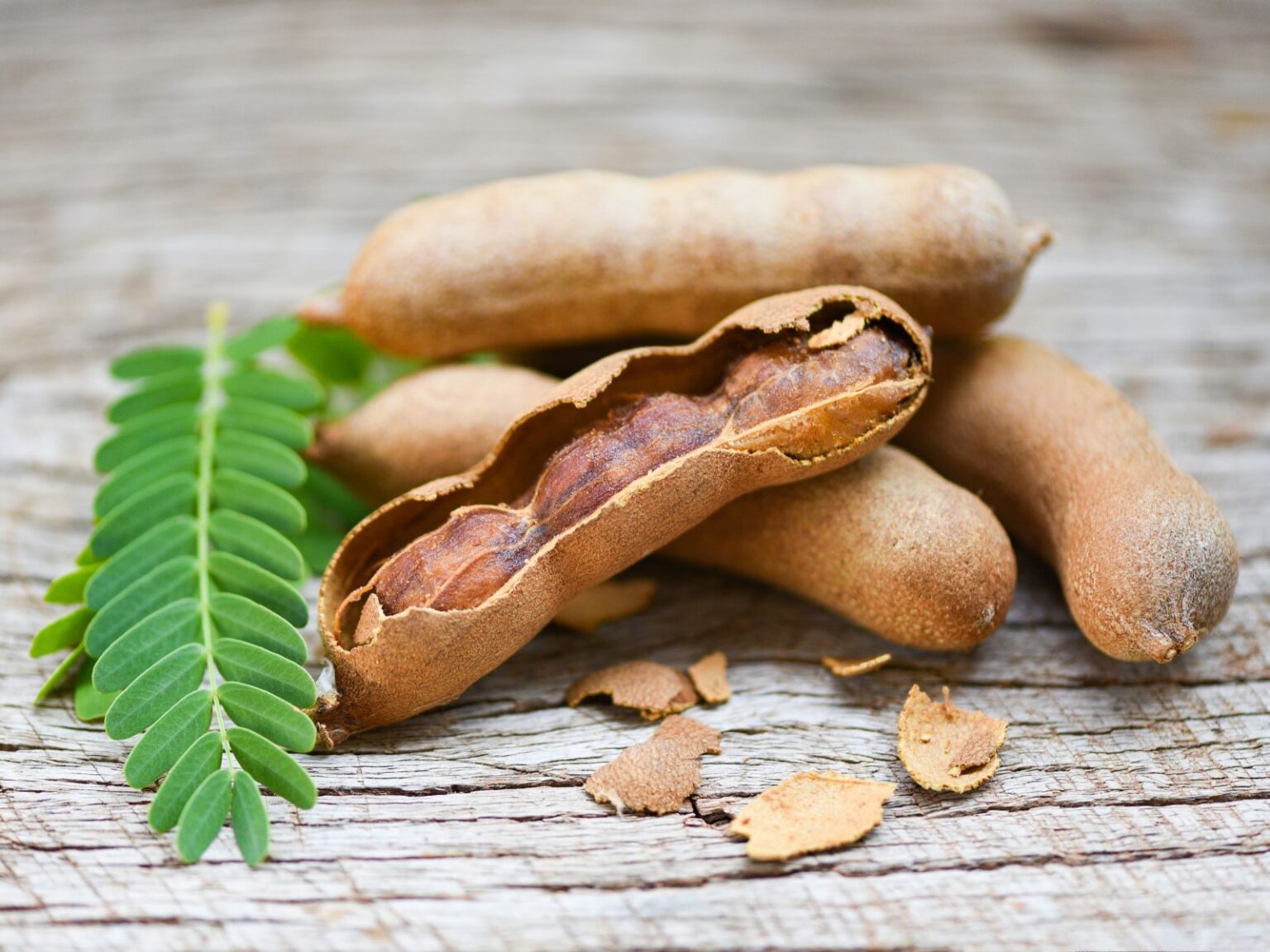 Can Dogs Eat Tamarind? Safety and Risks Explained