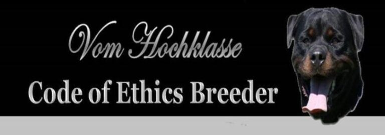 Rottweiler Breeders in California | List of 7 Local Breeders