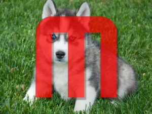 Dog Names Beginning with M: 200+ Marvelous Monikers for Your Furry Friend