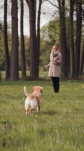 10 Essential Commands Every Dog Should Learn