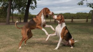 Redbone Coonhound Names: 200+ Friendly Ideas for Your Southern Hunting ...